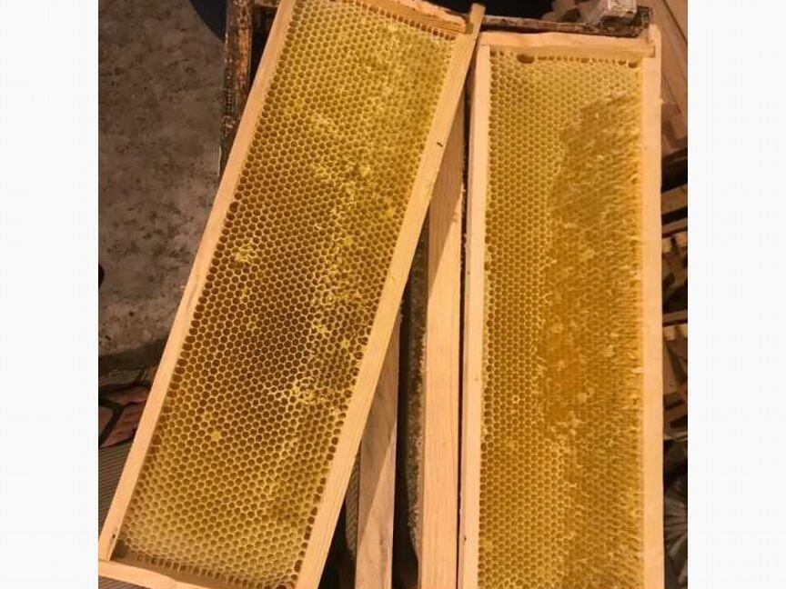 Рамки с вощиной