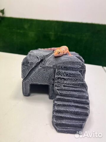 Геккон с террариумом