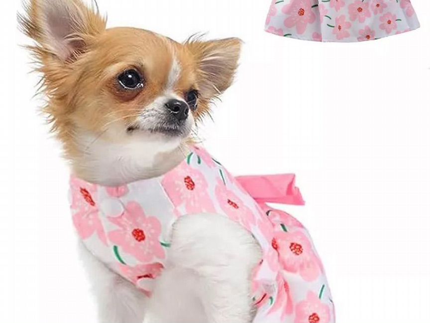 Летние платья для собак маленьких пород