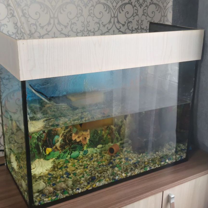 Аквариум 60 литров
