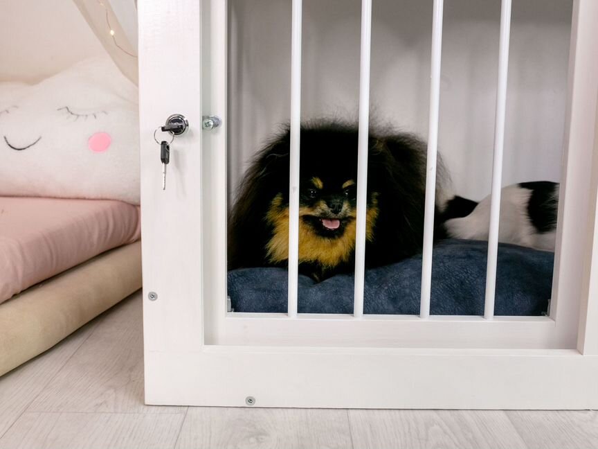 Вольер домашний