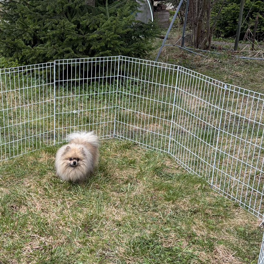 Вольер для собак в квартиру