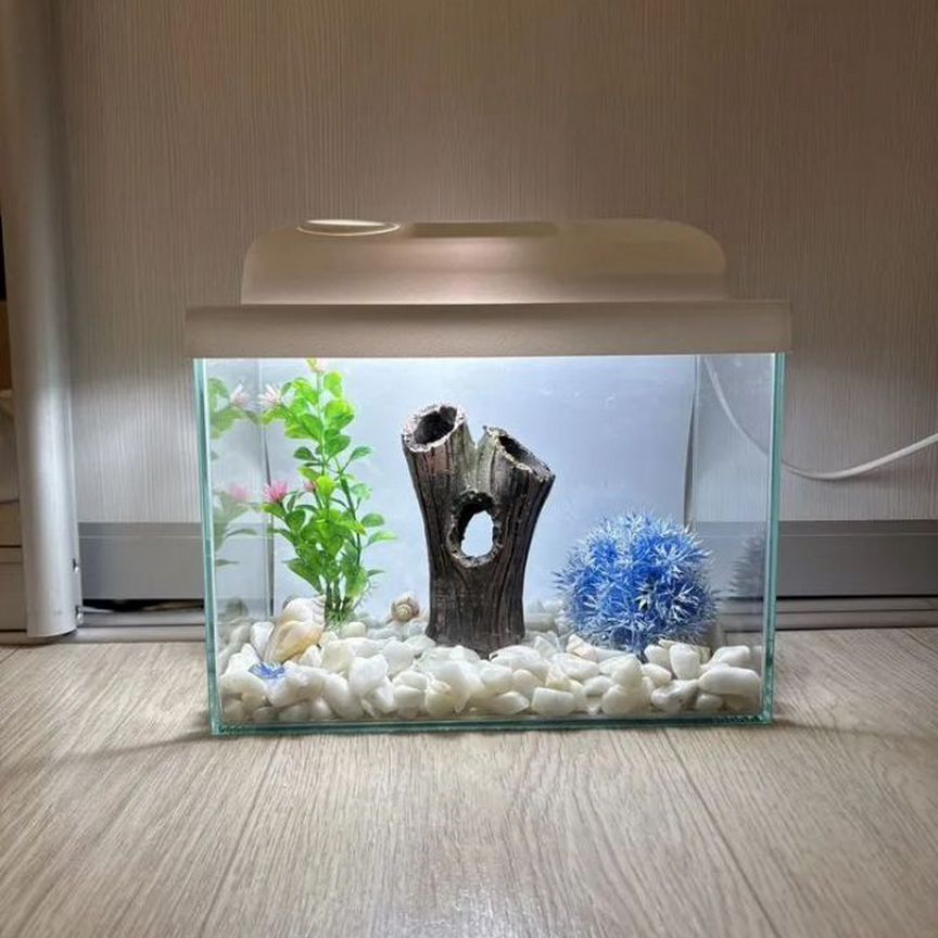 Аквариум пустой