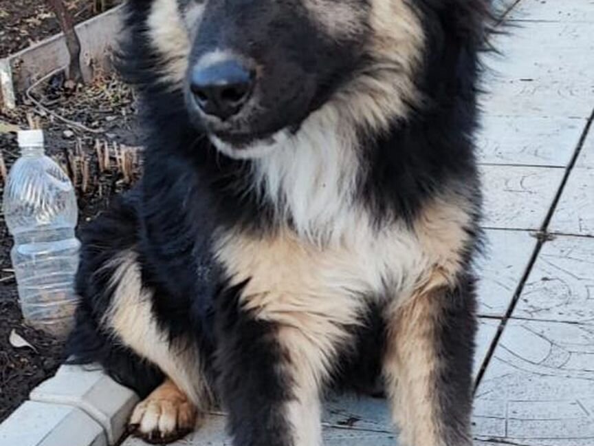 Чебурашка ждёт мам пап