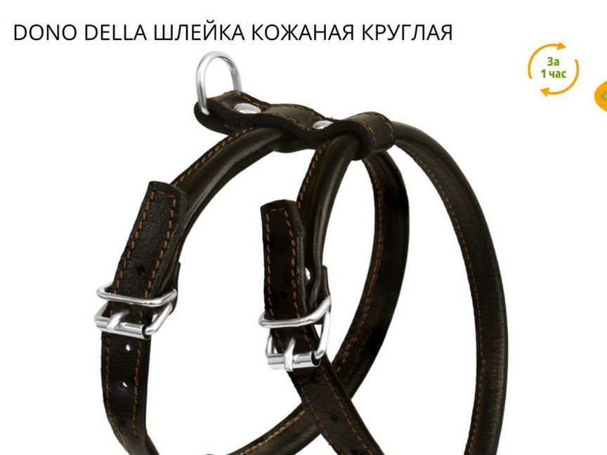 Шлейка для маленькой собаки