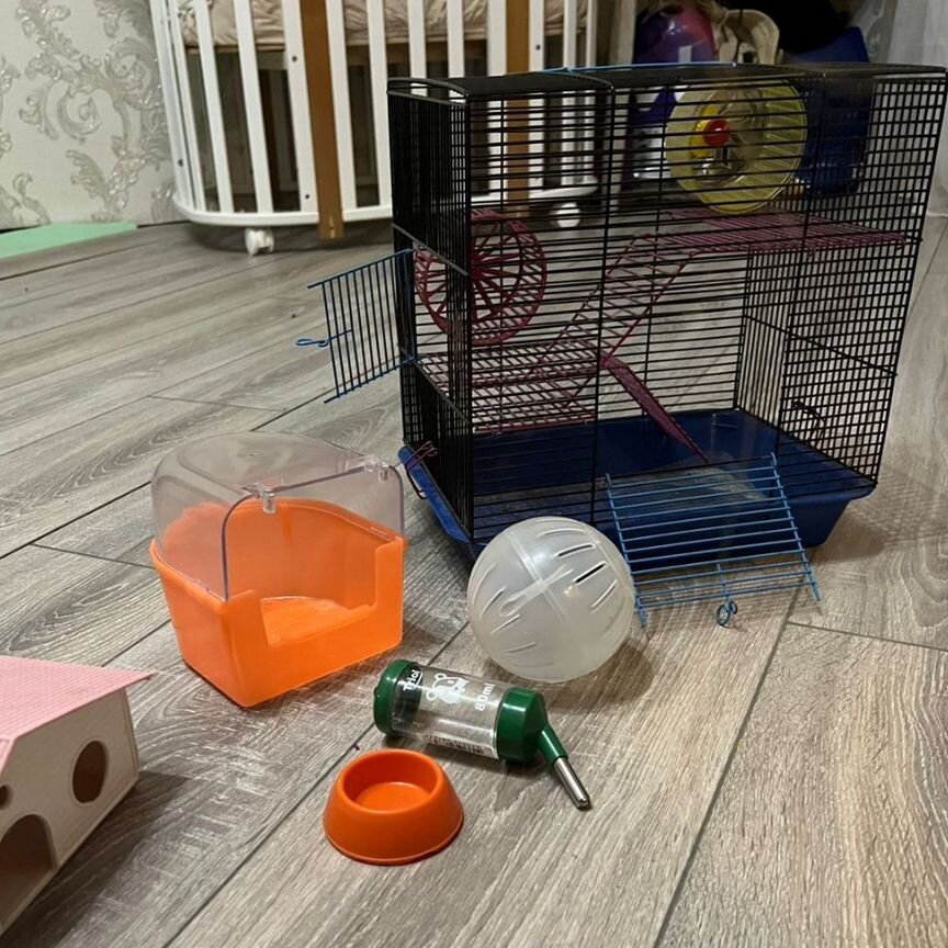 Клетка для джунгарского хомяка