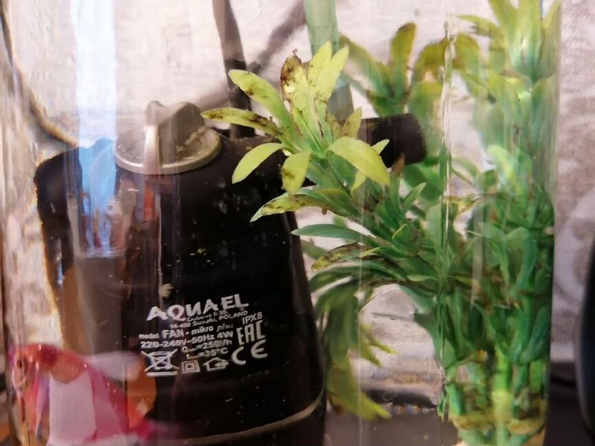Фильтр для аквариума aquael и рыба