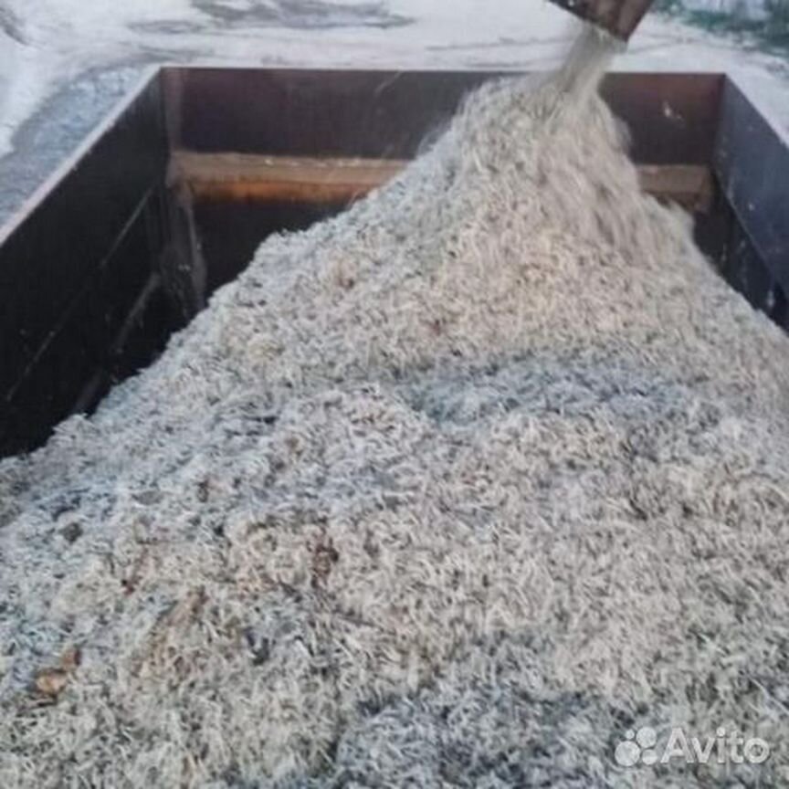 Сырой жом свекольный