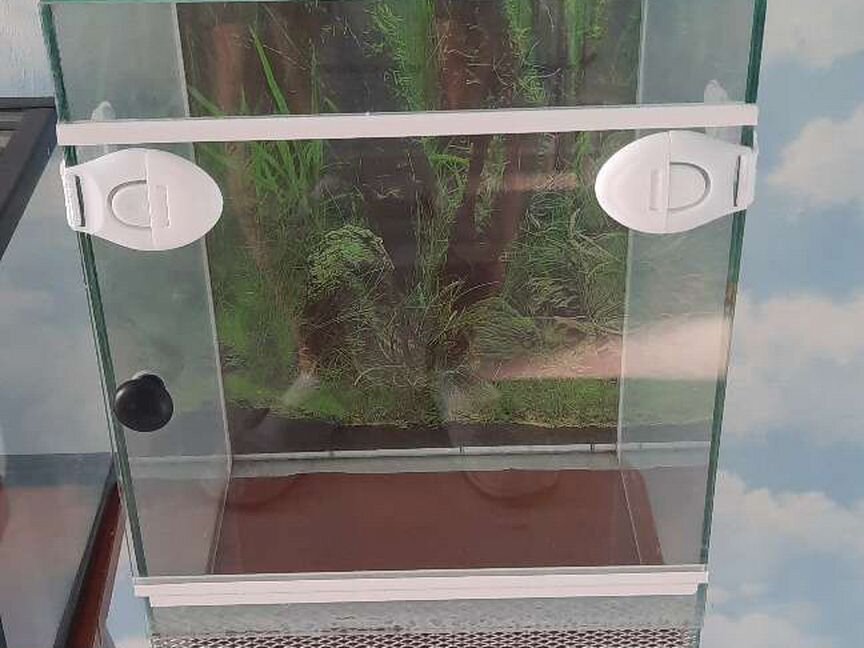 Террариум (паучатник)