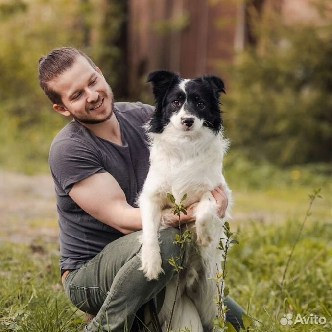 Милый Томми ищет семью