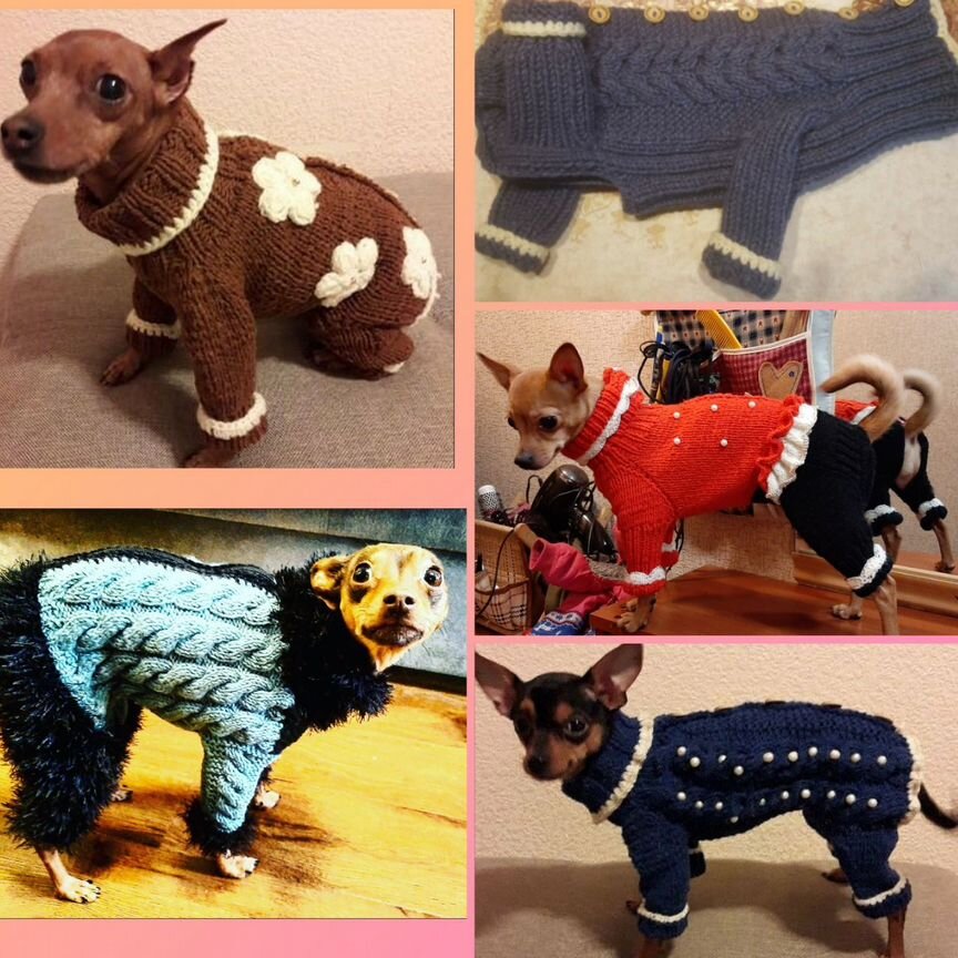 Вязаная одежда для маленьких собачек