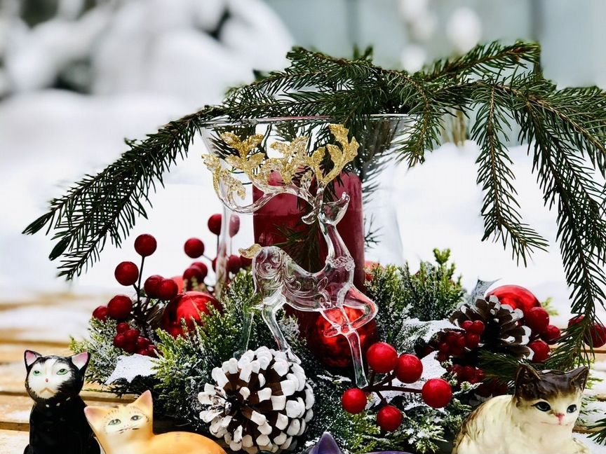 Котята 4 штуки