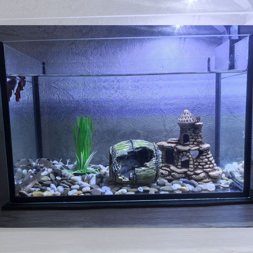 Аквариум 10 литров