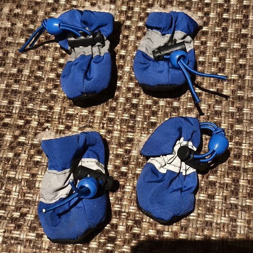 Ботинки для маленьких собак