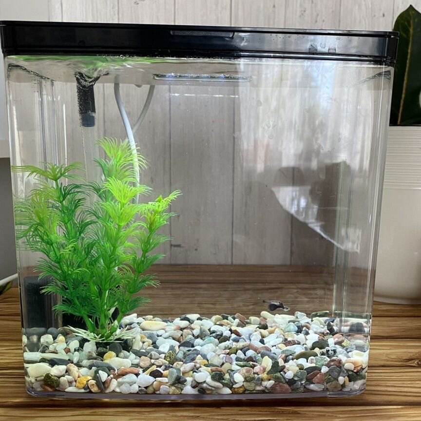 Аквариум с подсветкой настольный 4,5 л