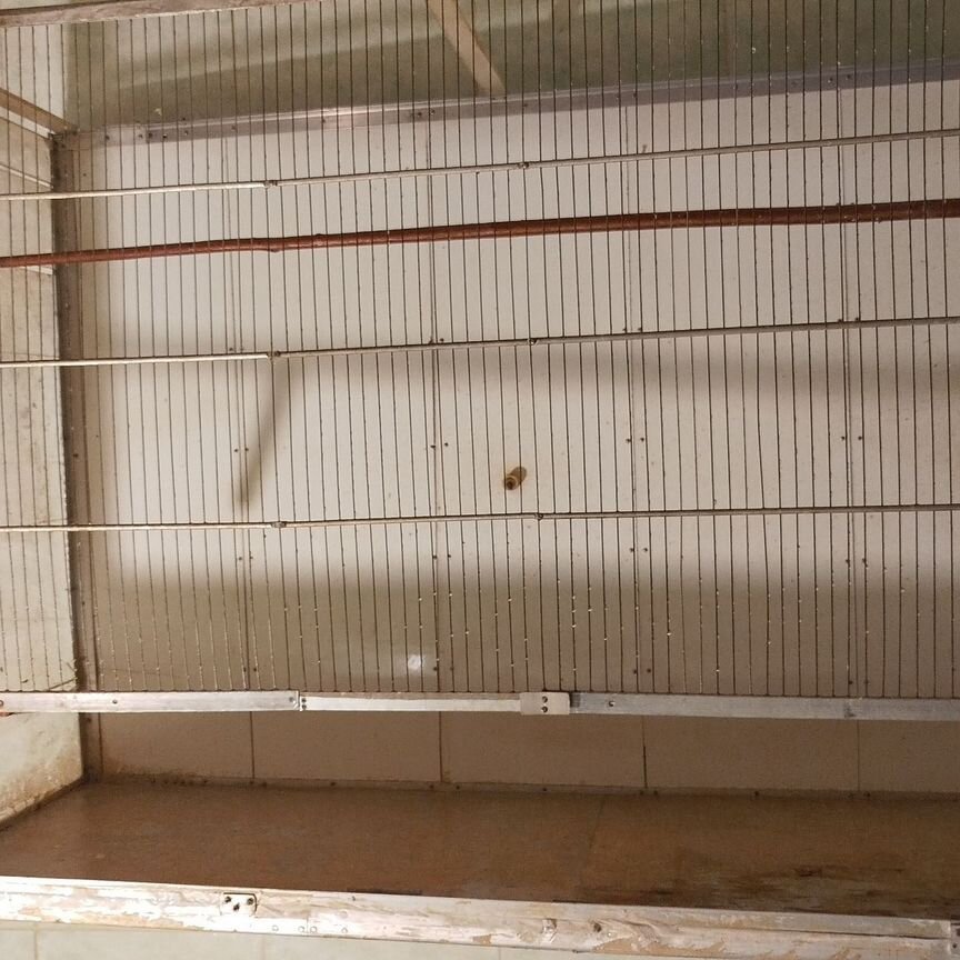 Клетка вольер для птиц большая бу