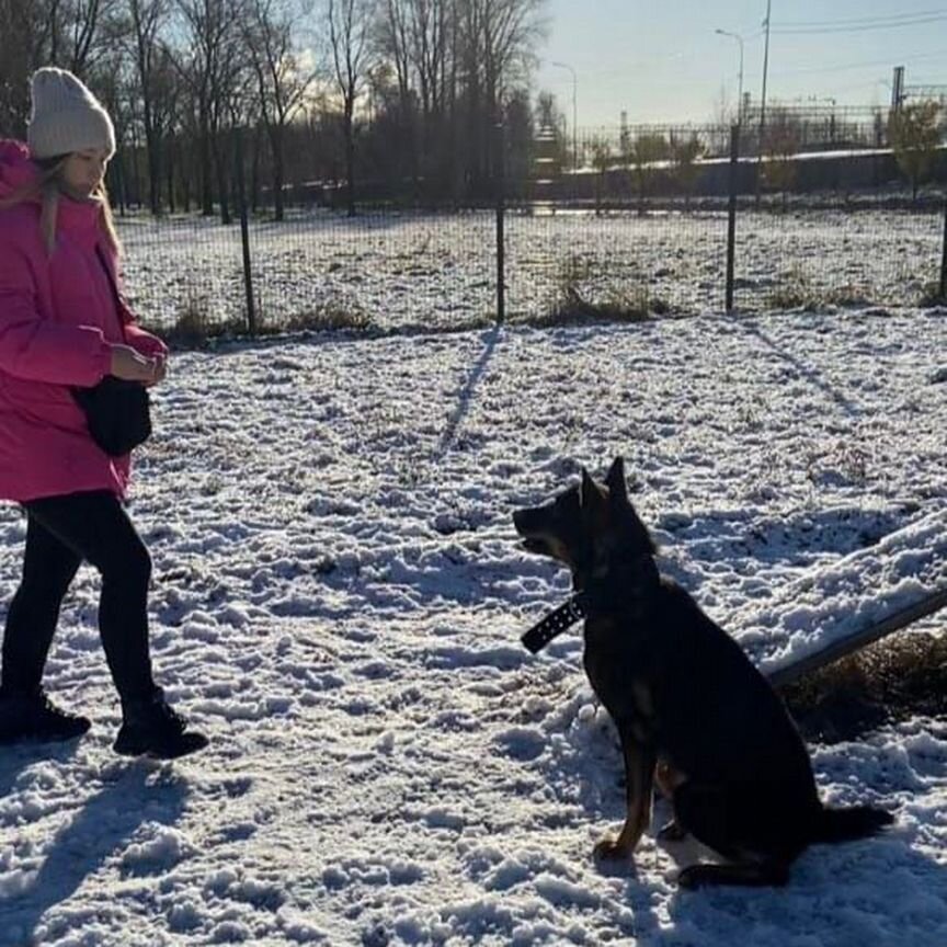 Веня ищет любящую семью