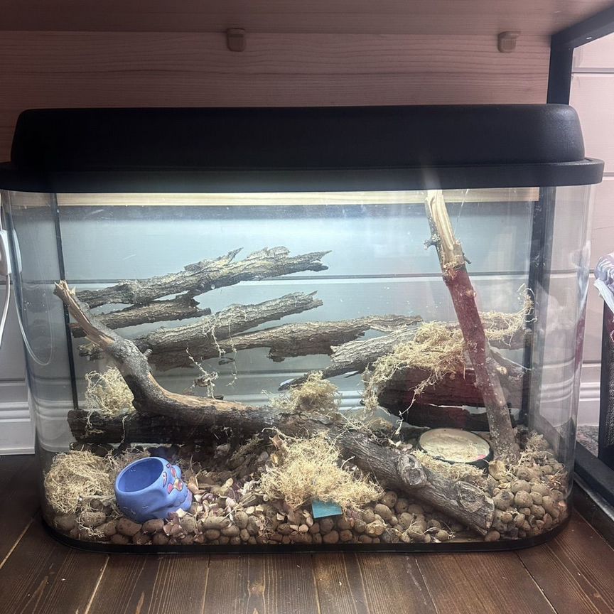 Террариум для рептилий большой