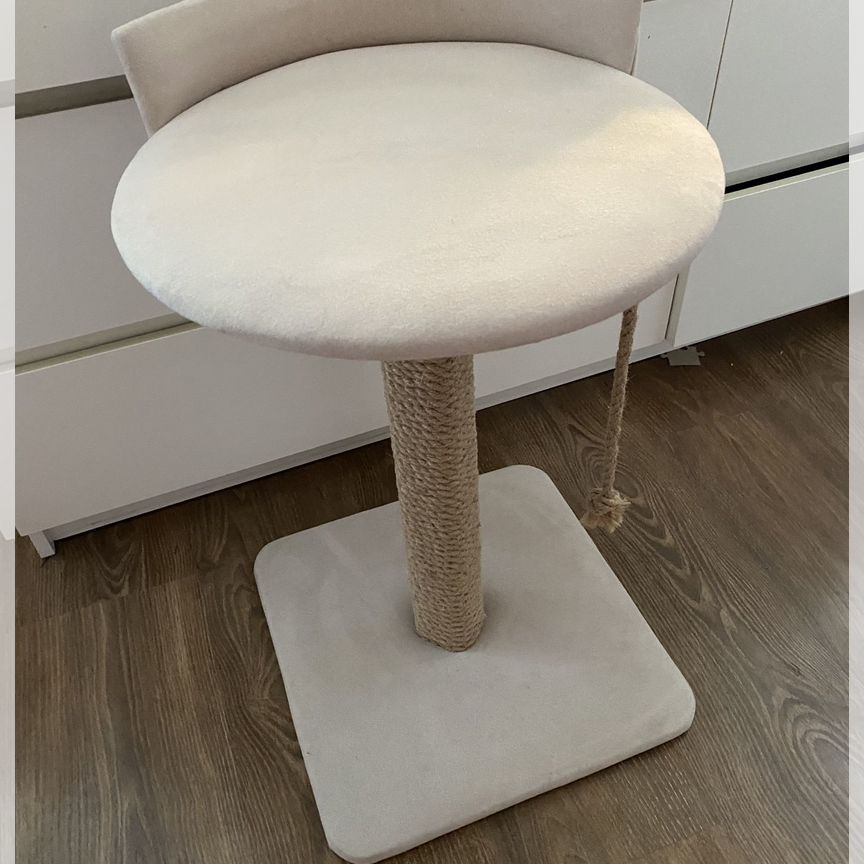 Когтеточка