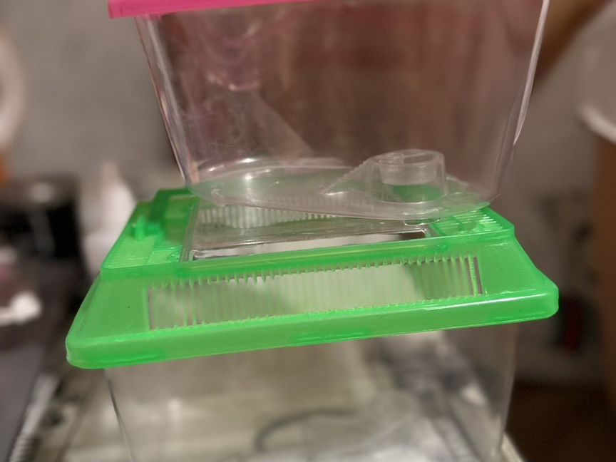 Контейнер для перевозки черепах с лестницей. 2шт