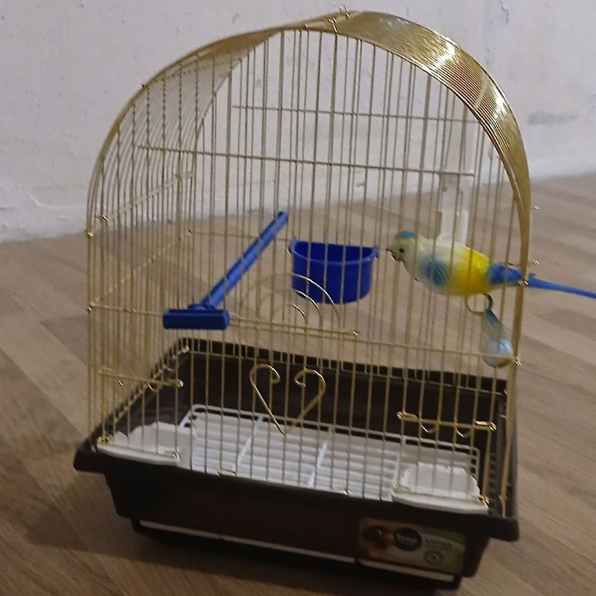 Клетка для попугая