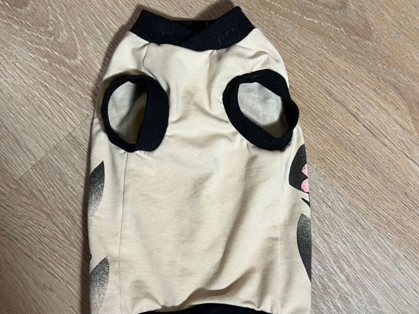 Одежда для кошек