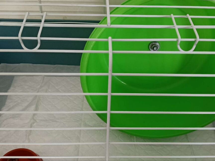 Продаю клетку, домик, колесо для ёжика