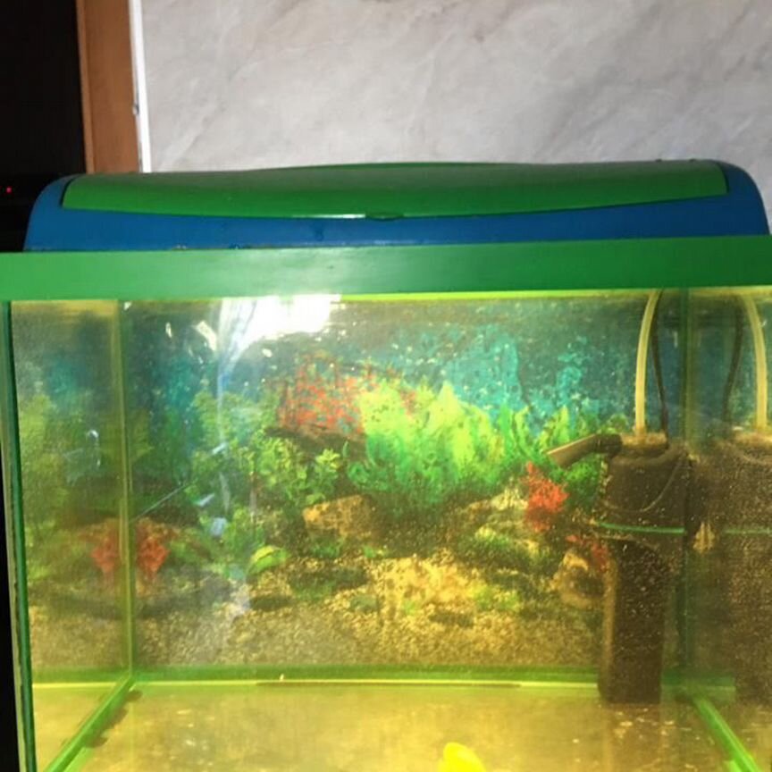 Аквариум "Акваэль"