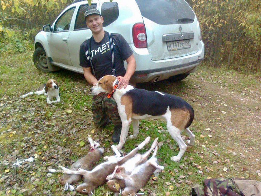 Натаска гончей