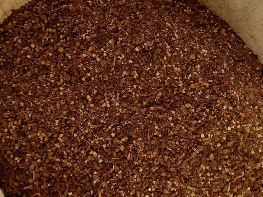 Отходы гречихи мучка