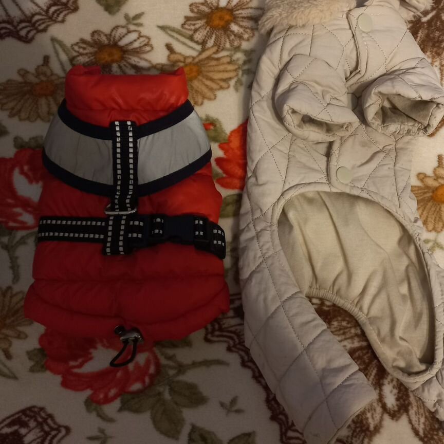 Одежда для собак мелких пород