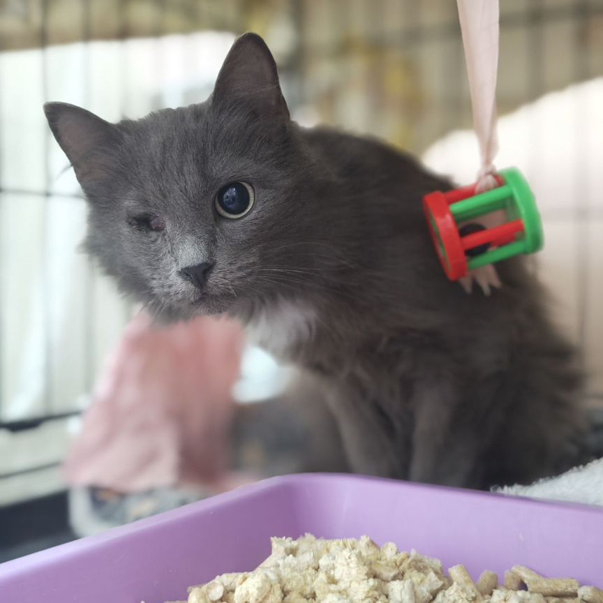 Ой, Вы, наверное, меня ищете