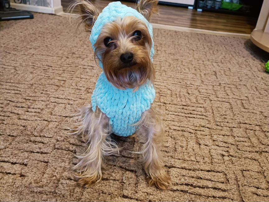 Свитер для собак