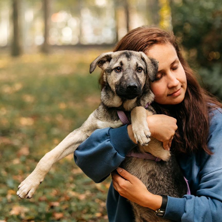 Щенок из приюта в добрые руки