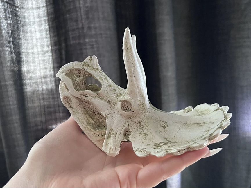 Череп/ декор/ аквариум