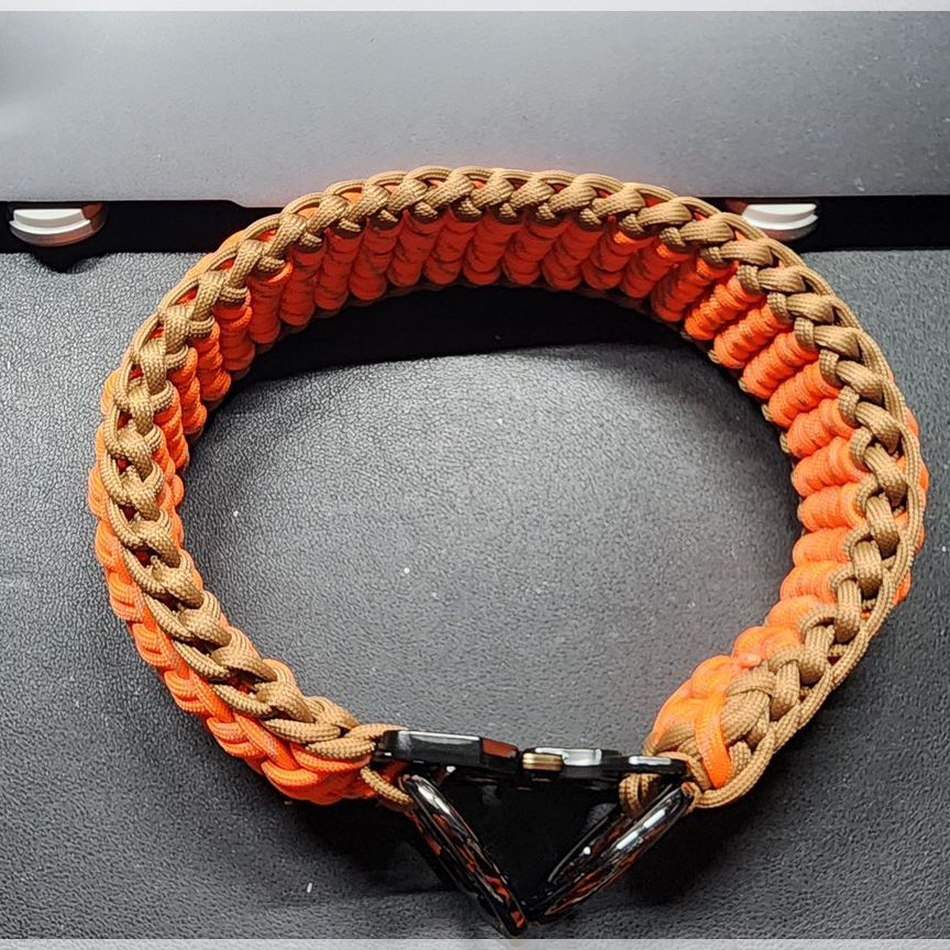 Ошейник для Риты