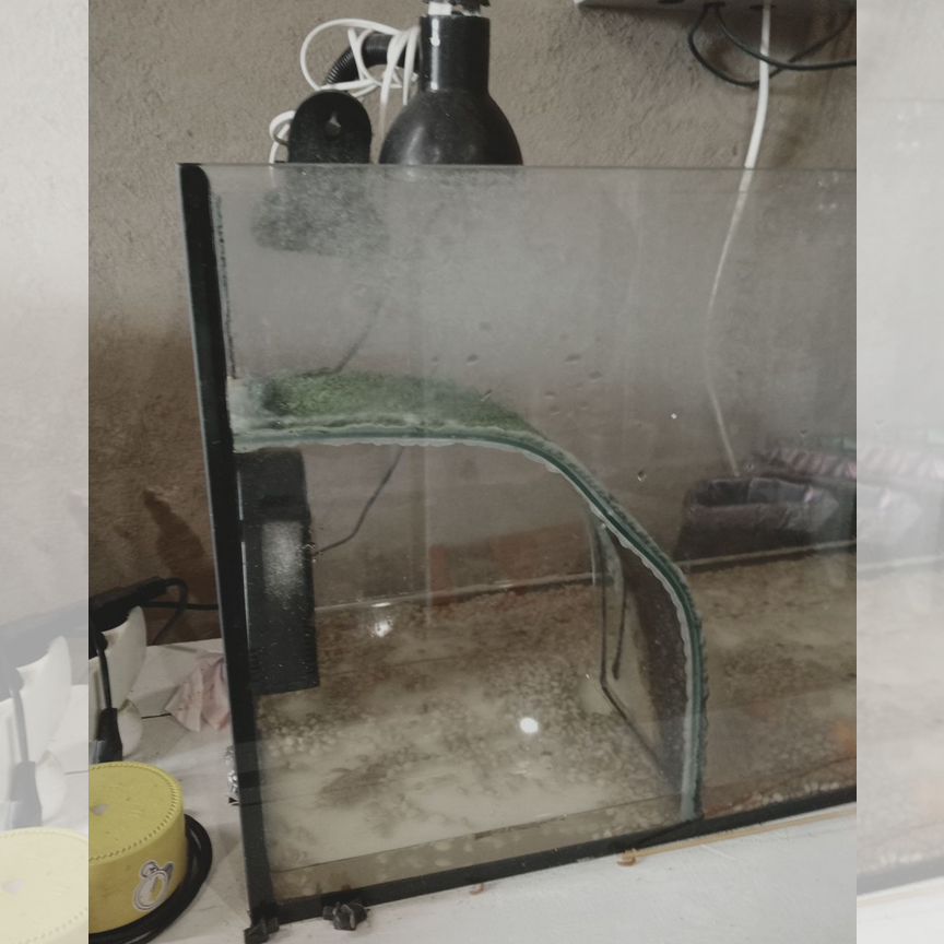 Аквариум для черепах