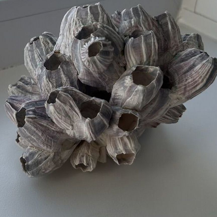 Украшение для аквариума