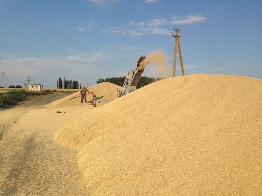 Зерно фуражное