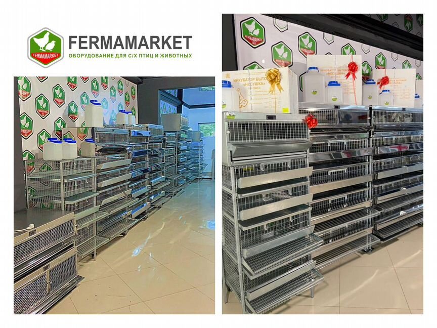 Клетки для перепелов Ермолаево