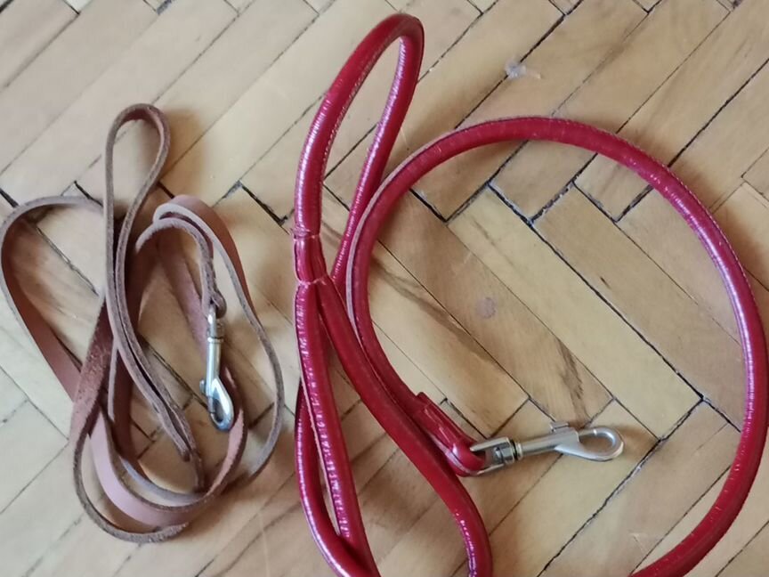 Поводки новые