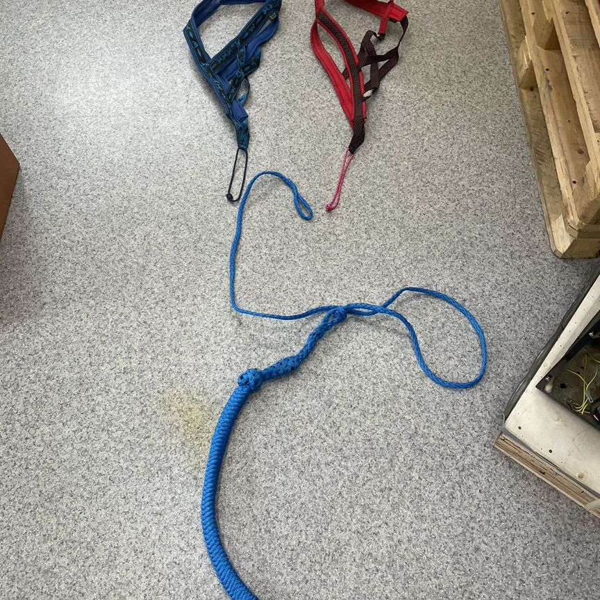 Упряжь на 2 собаки