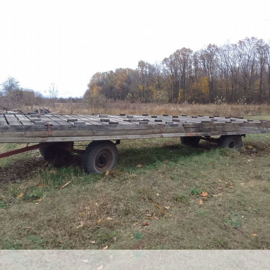 Товары для животных