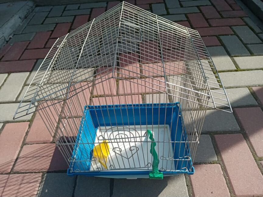 Клеточки для птичек