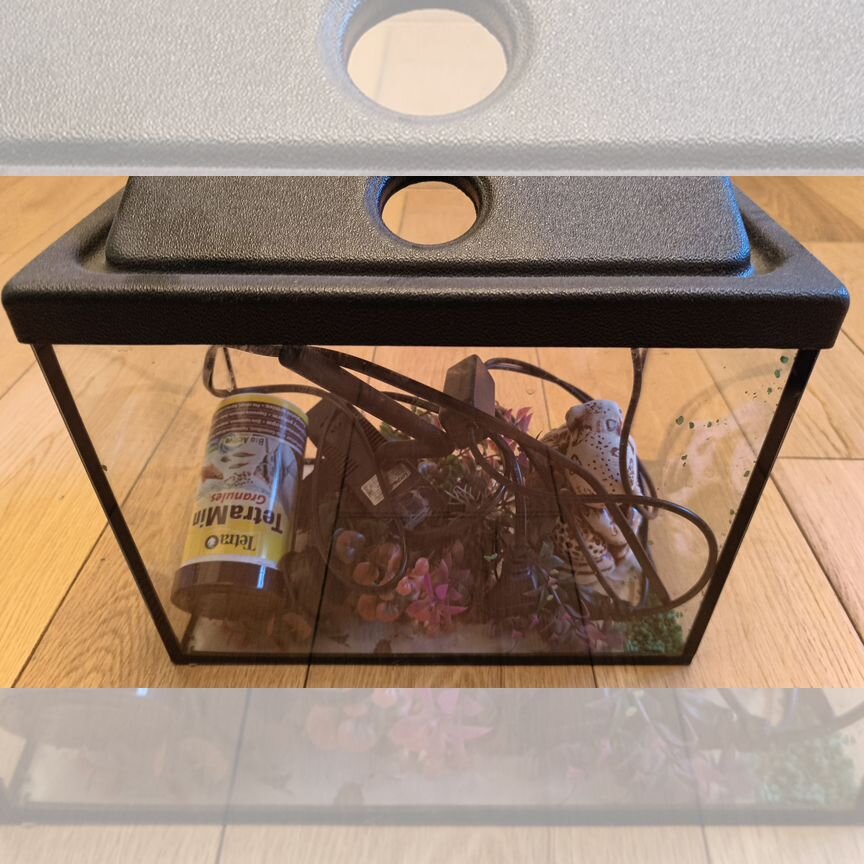 Аквариум для рыб