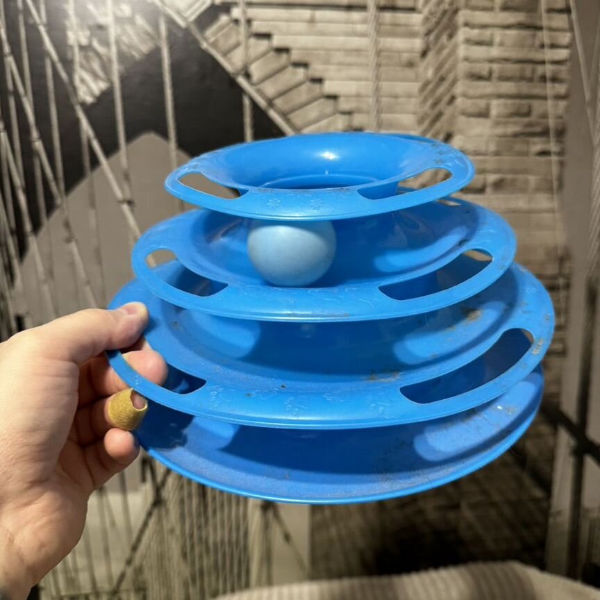 Игрушки для котят