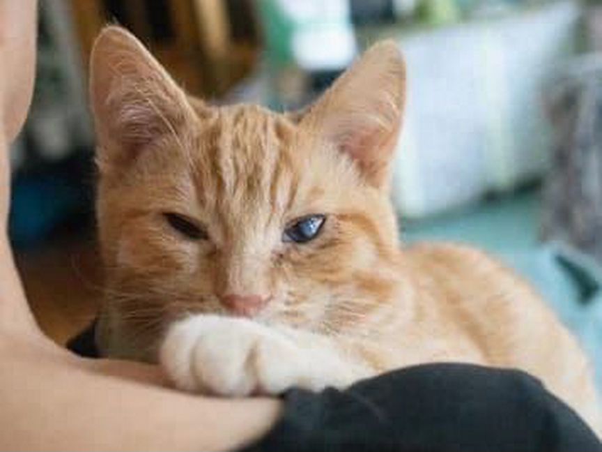 Особенный мальчик Мэни