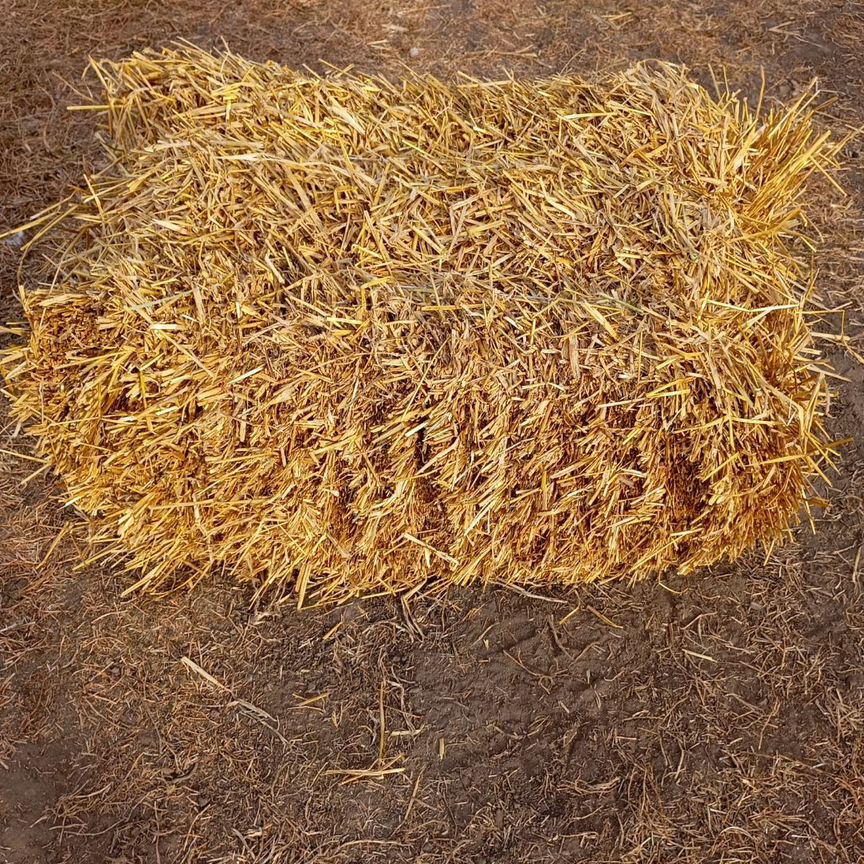Солома в тюках