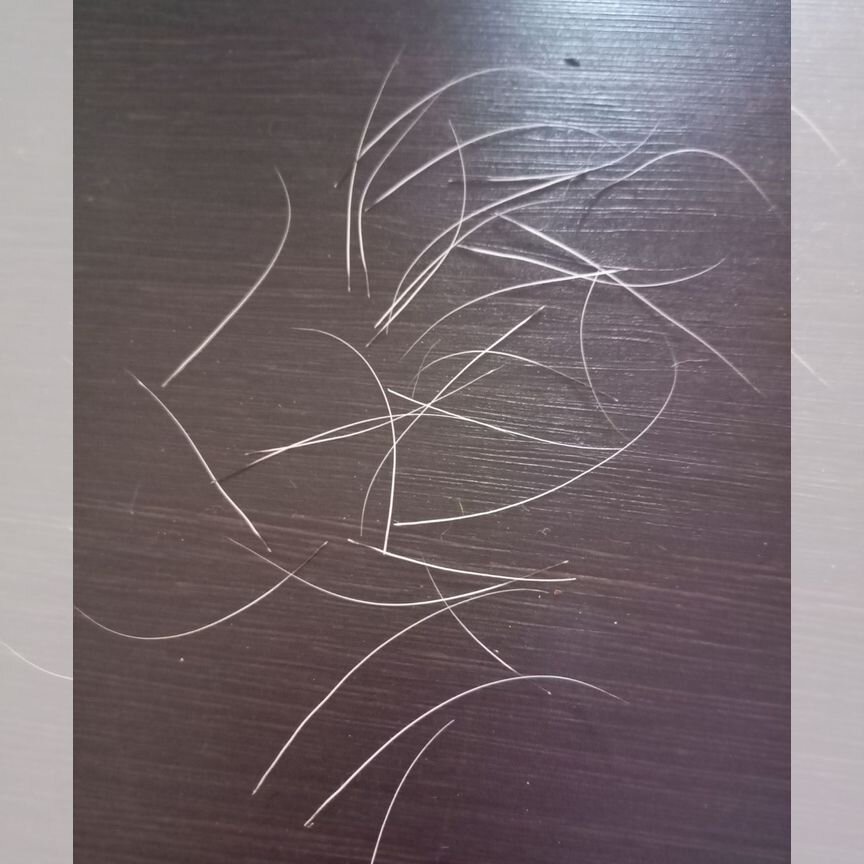 Кошачьи усы
