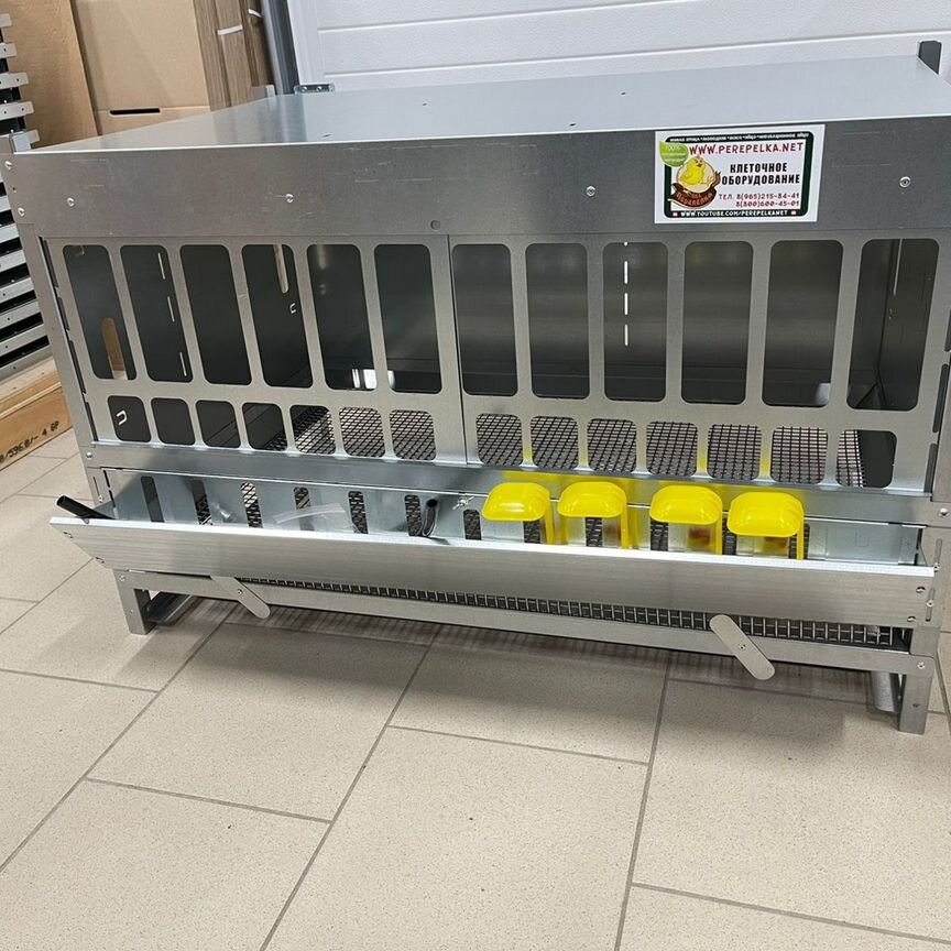 Брудер для цыплят